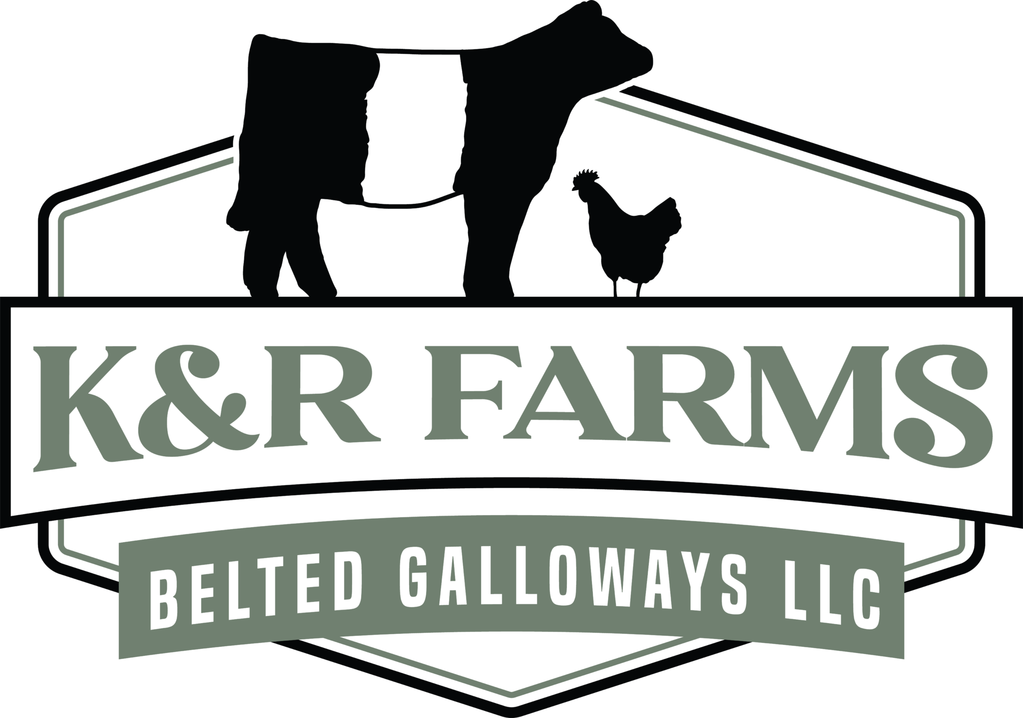 Home - K&R Farms Belted Galloways